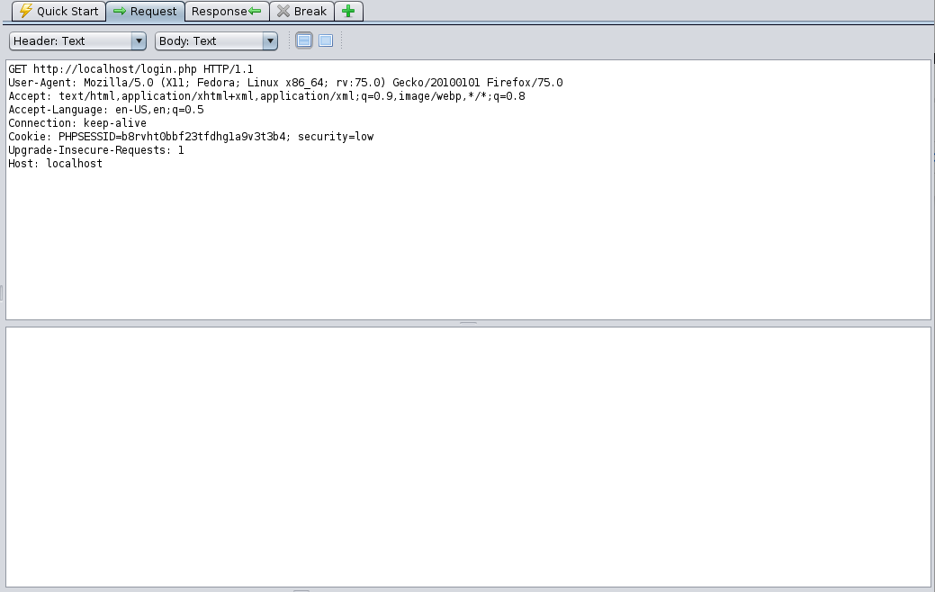 The Owasp Zap Hud